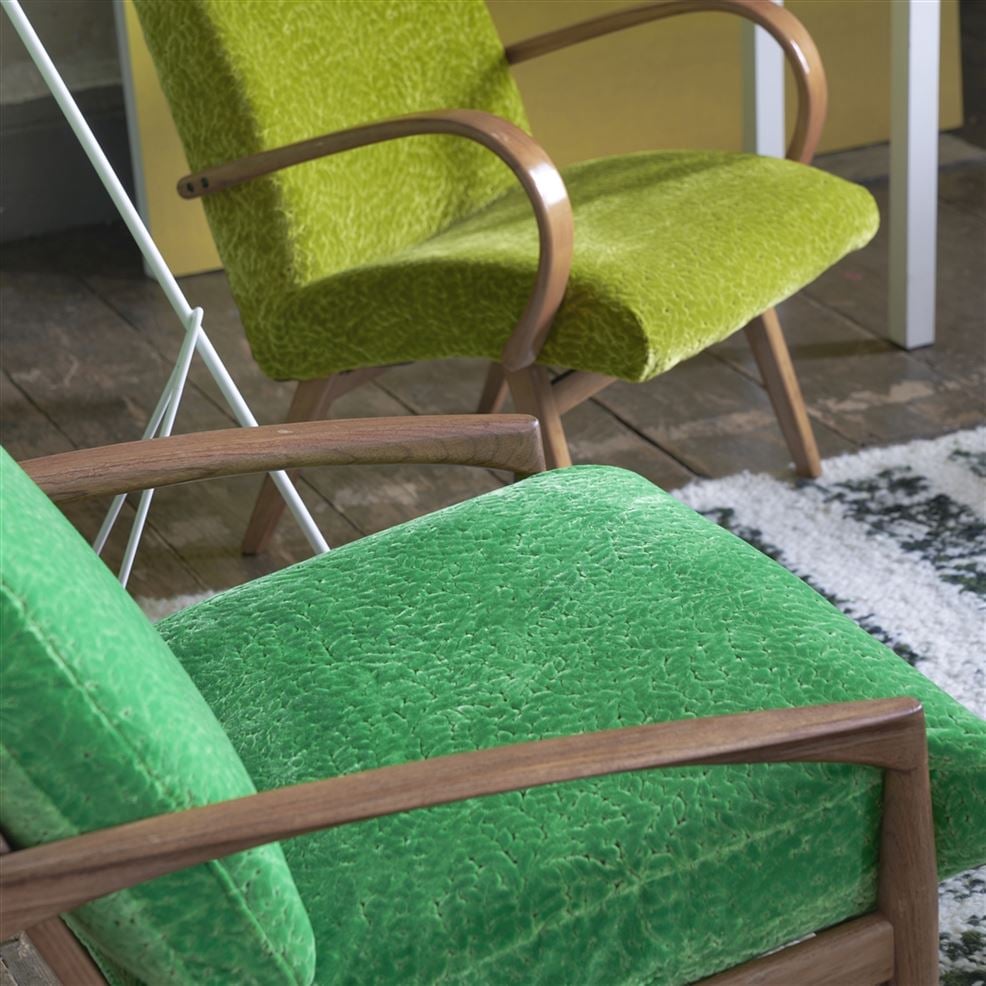 Cartouche By Designer Guild