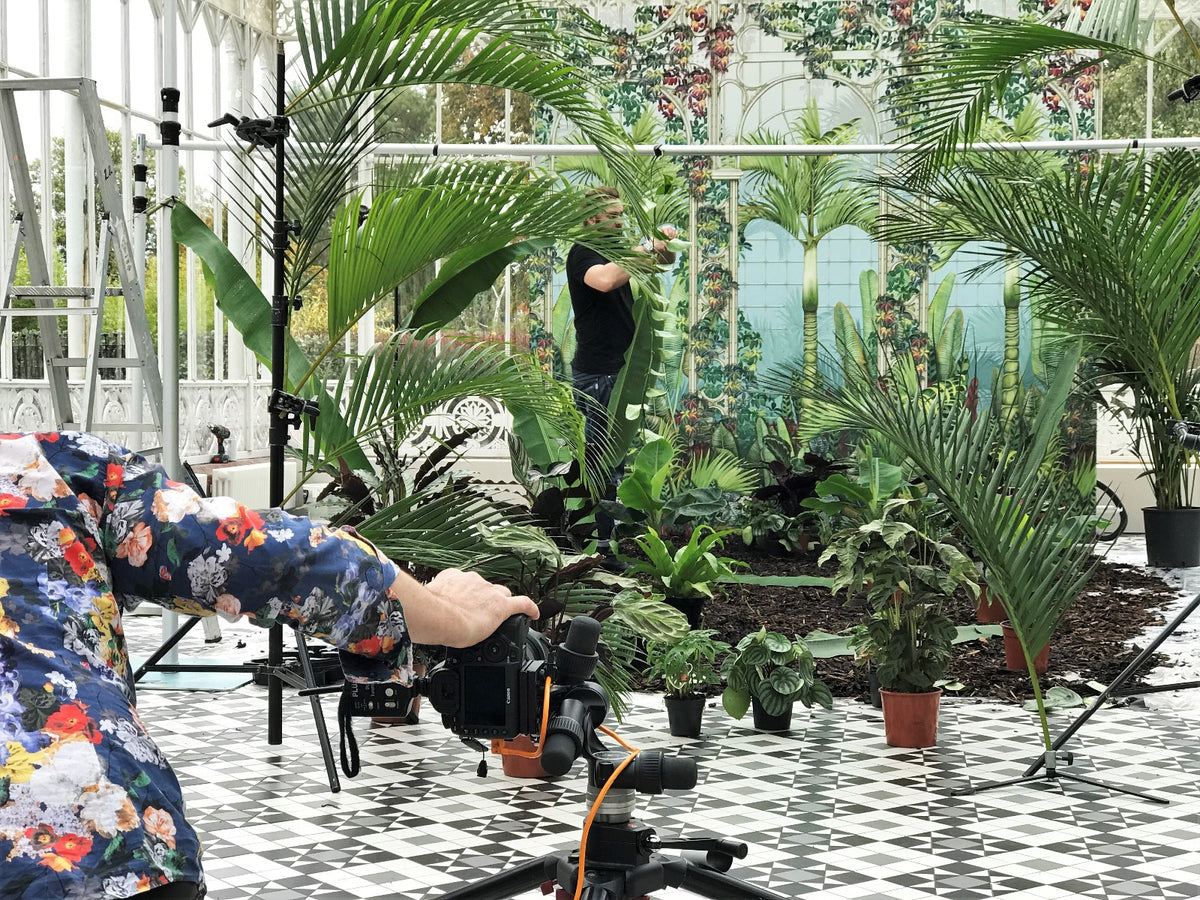 Palm House Wallpaper By Osborne & Little